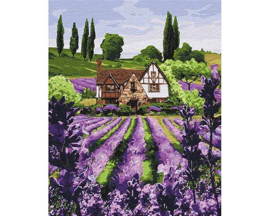 Lavender House Paint by Number Kit With FRAME Color by - Etsy