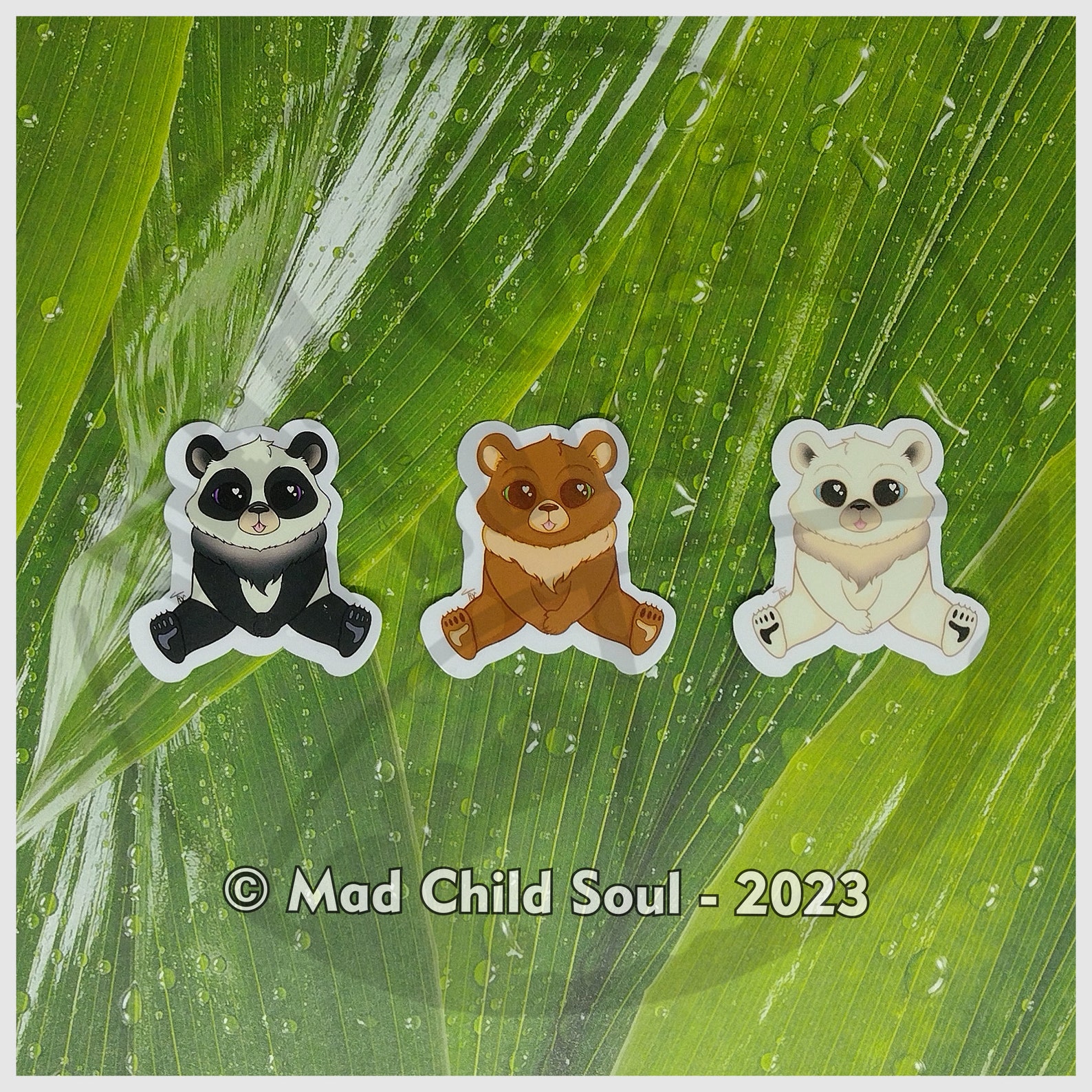 Double Side Acrylic Bear Fluffy Cub - Animal ABC (keychain) - Etsy