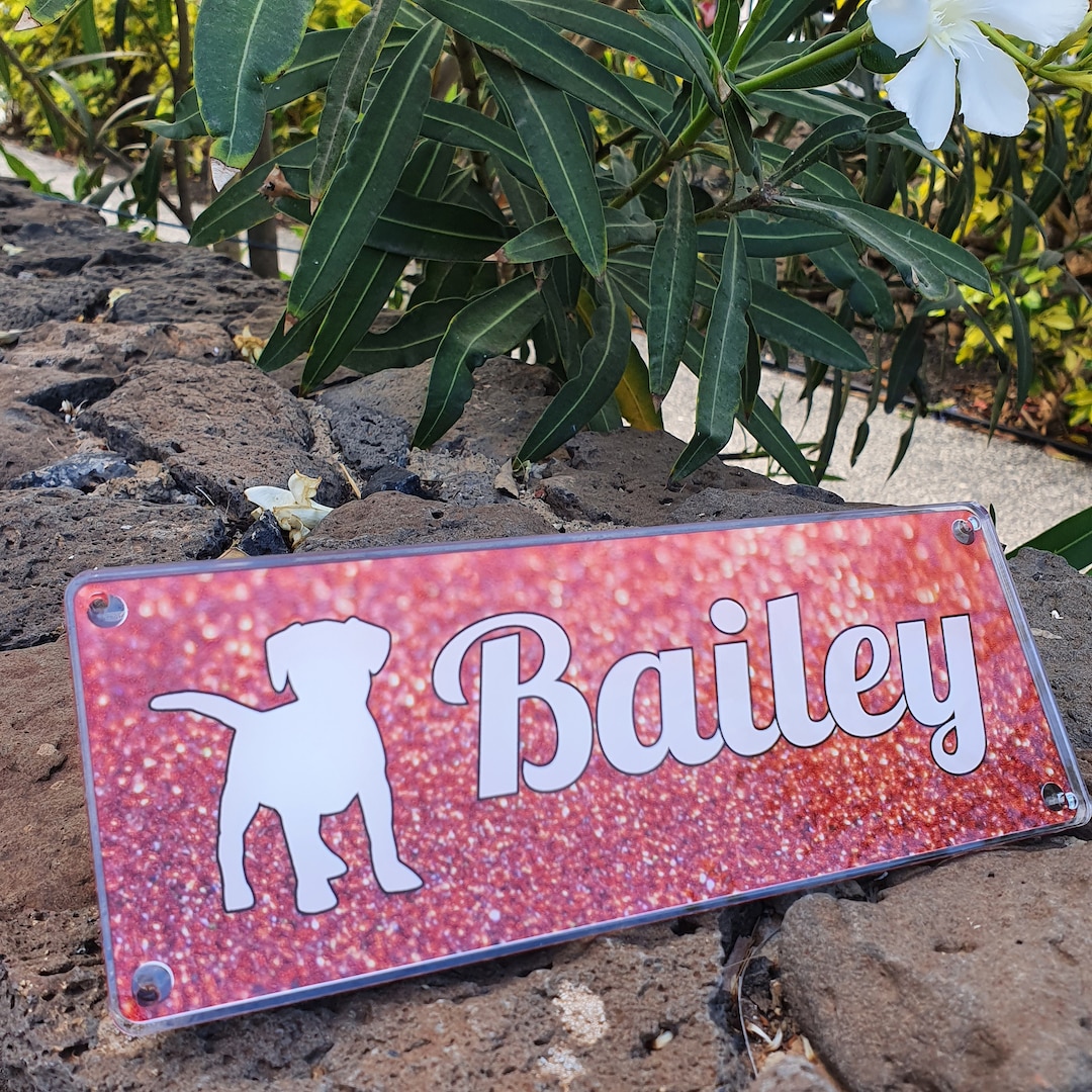 Personalised Puppy Dog Name Plate, 14 Background Colour Choices With ...