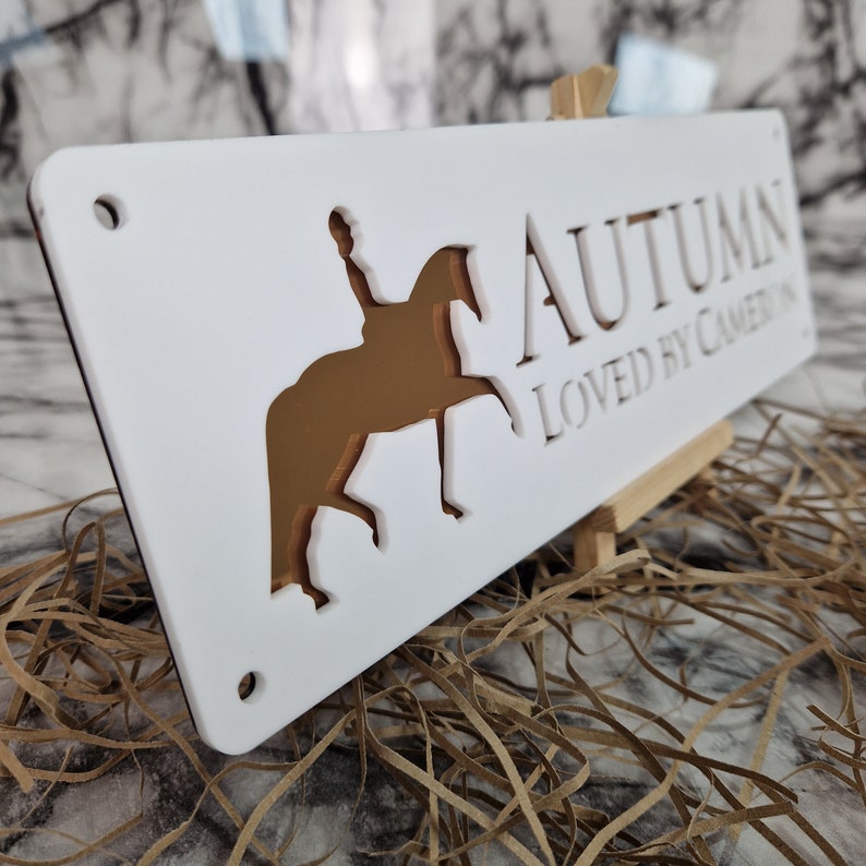 Beautiful Stable Name Plate COPPER MIRROR, White Front, Fully ...