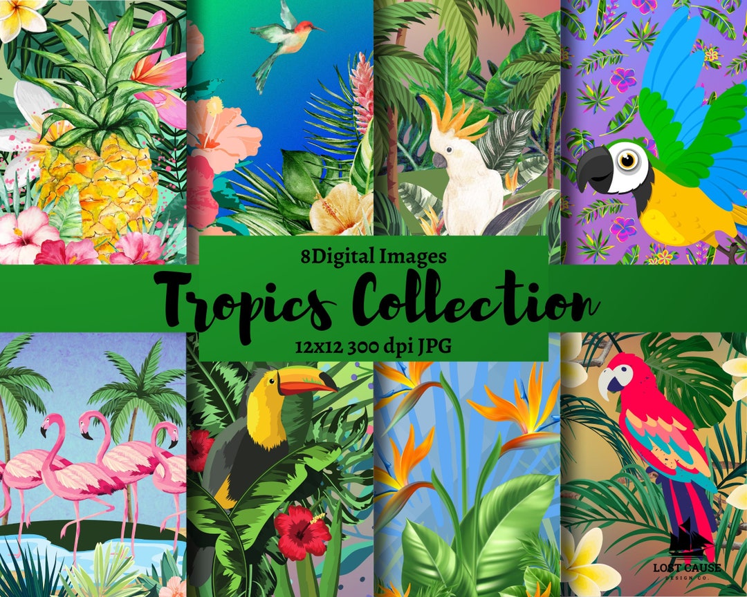 Tropics Collection Digital Paper Scrapbook Paper Decoupage - Etsy