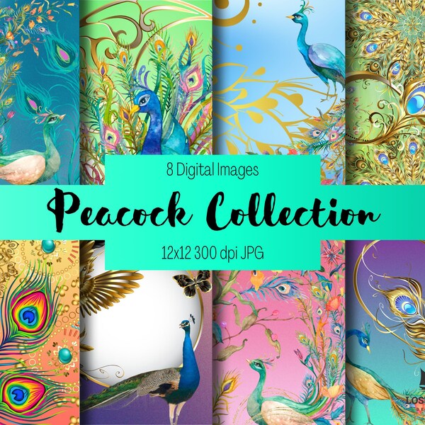 Peacock Papers - Etsy