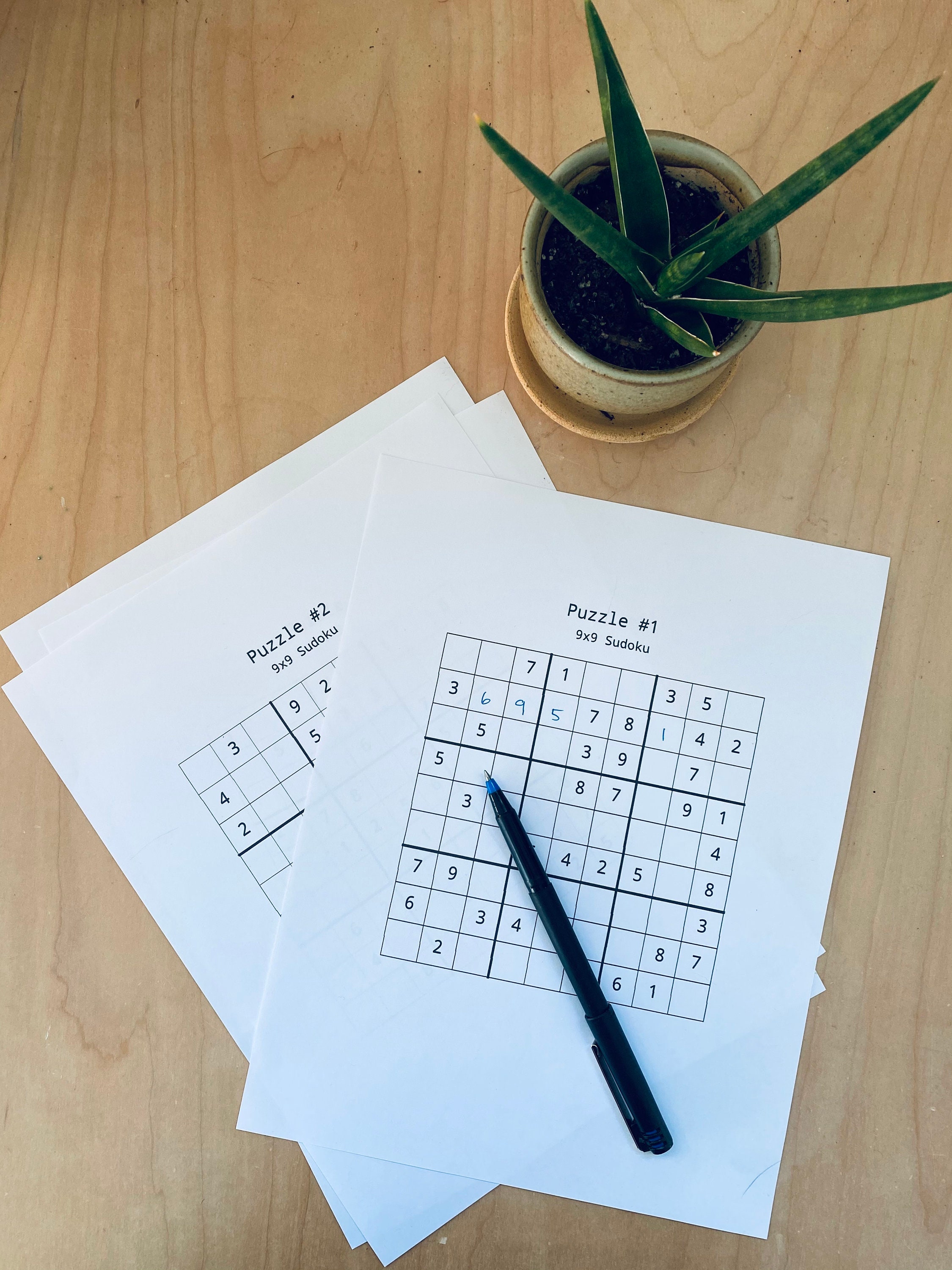 100 Sudoku Puzzles! Download and Print for Hours of Brain Fun. - Etsy