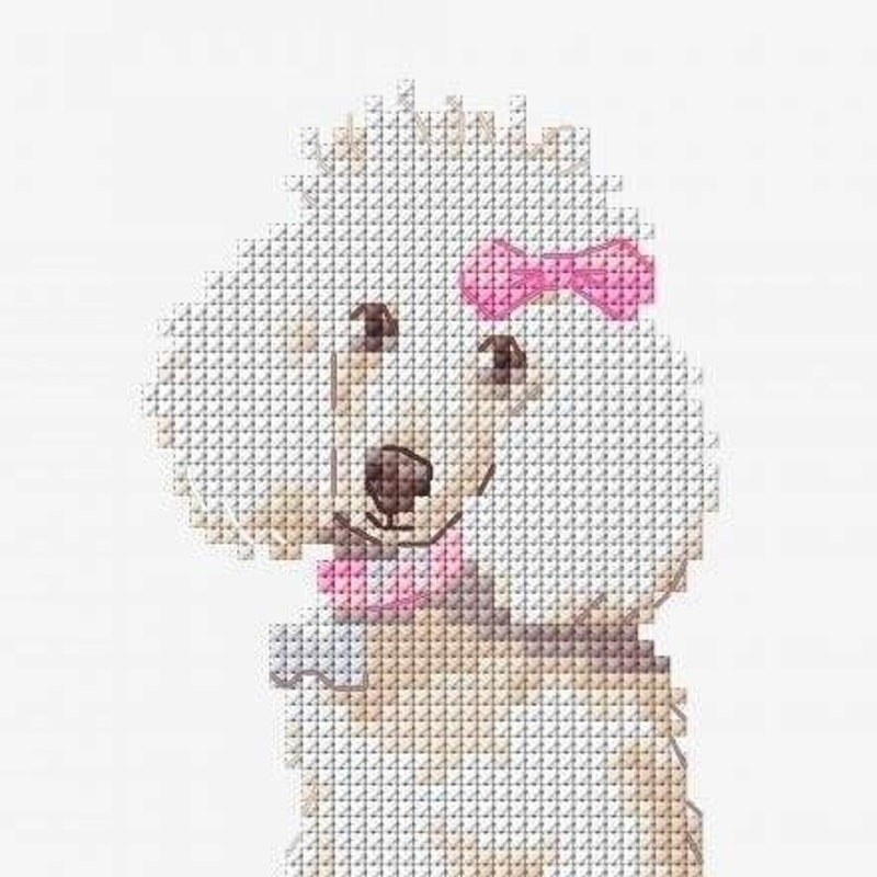 Poodle Cross Stitch - Etsy