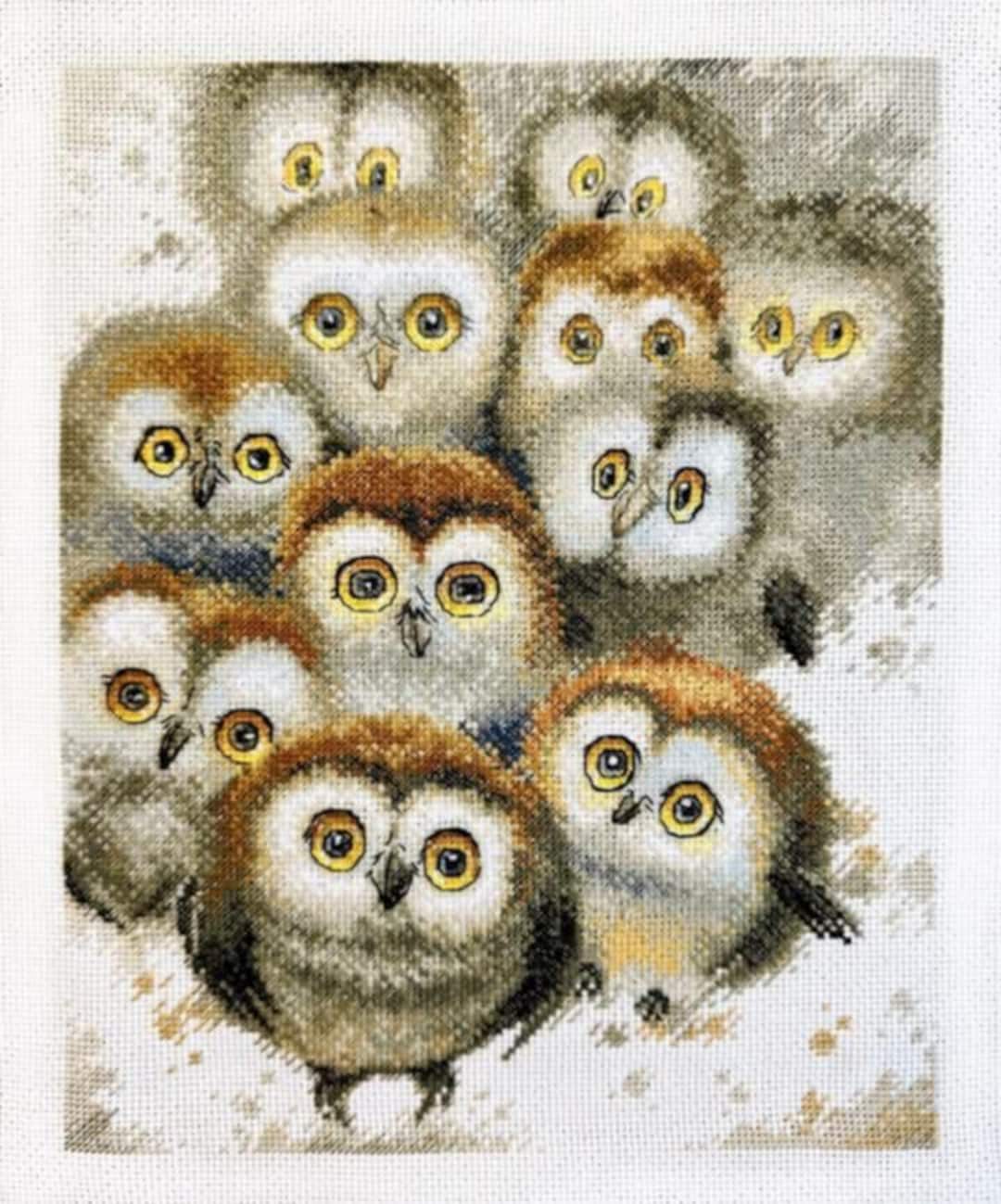 Owls Cross Stitch Pattern - Etsy