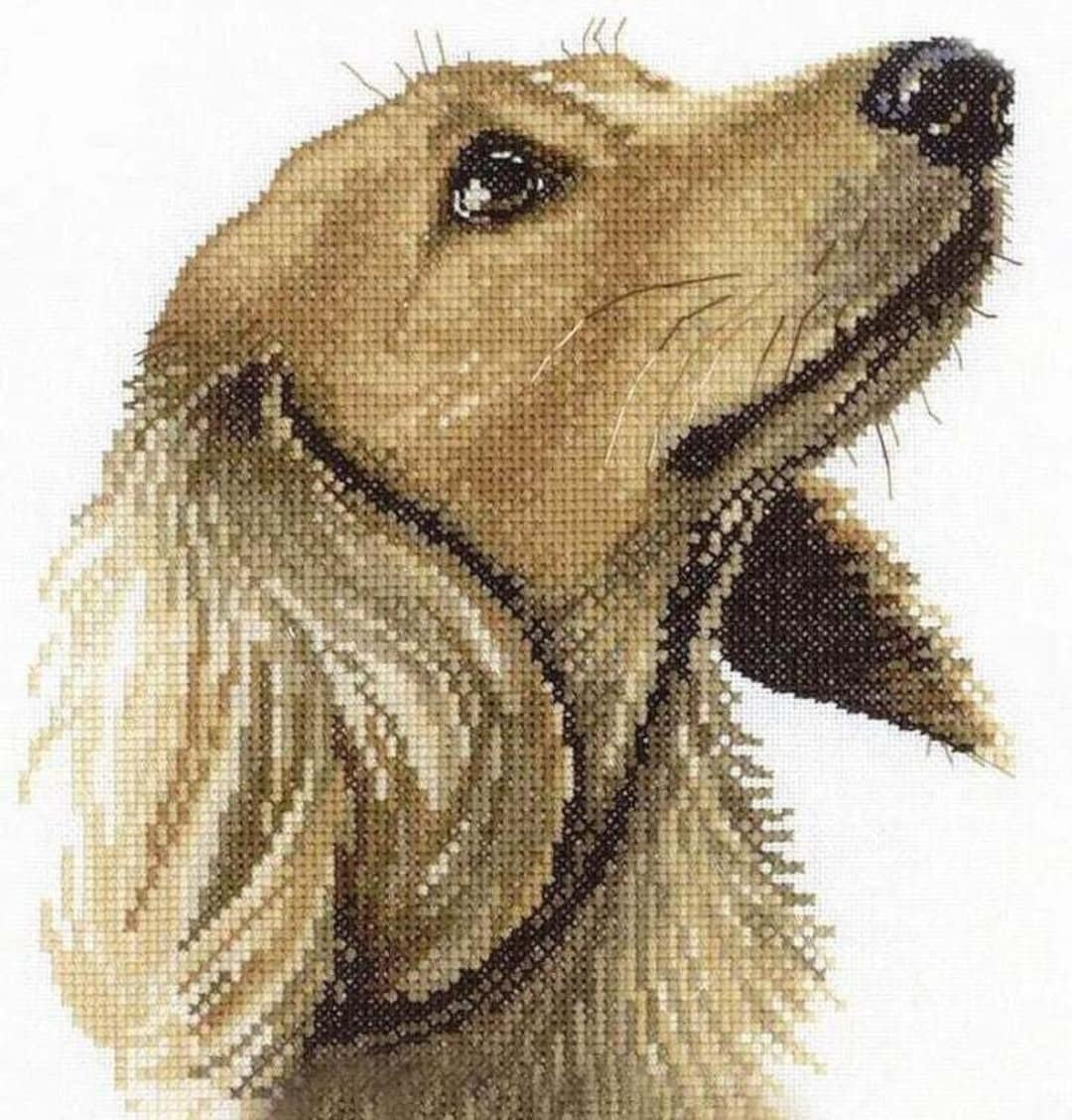 Dog Cross Stitch Pattern, Puppy Cross Stitch Pattern, Dog Portrait ...