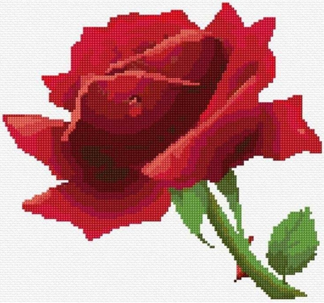 Red Rose Cross Stitch Pattern, Flowers Cross Stitch Pattern, Floral Cross Stitch - Etsy
