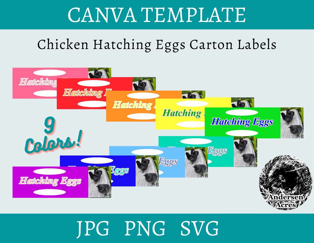 Chicken Hatching Eggs Carton Labels Set of 9 -- Digital Download - Etsy