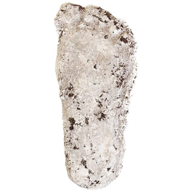 Casting Foot Hands - Etsy