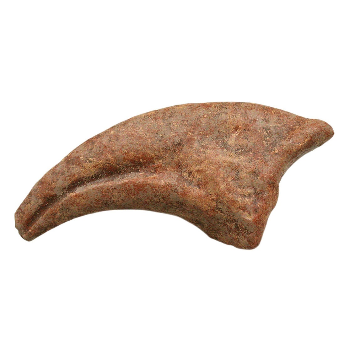 Smithsonian Nation's T.rex Claw Fossil Replica - Etsy