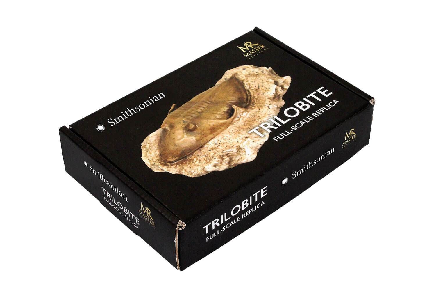 Smithsonian Trilobite Fossil Replica - Etsy