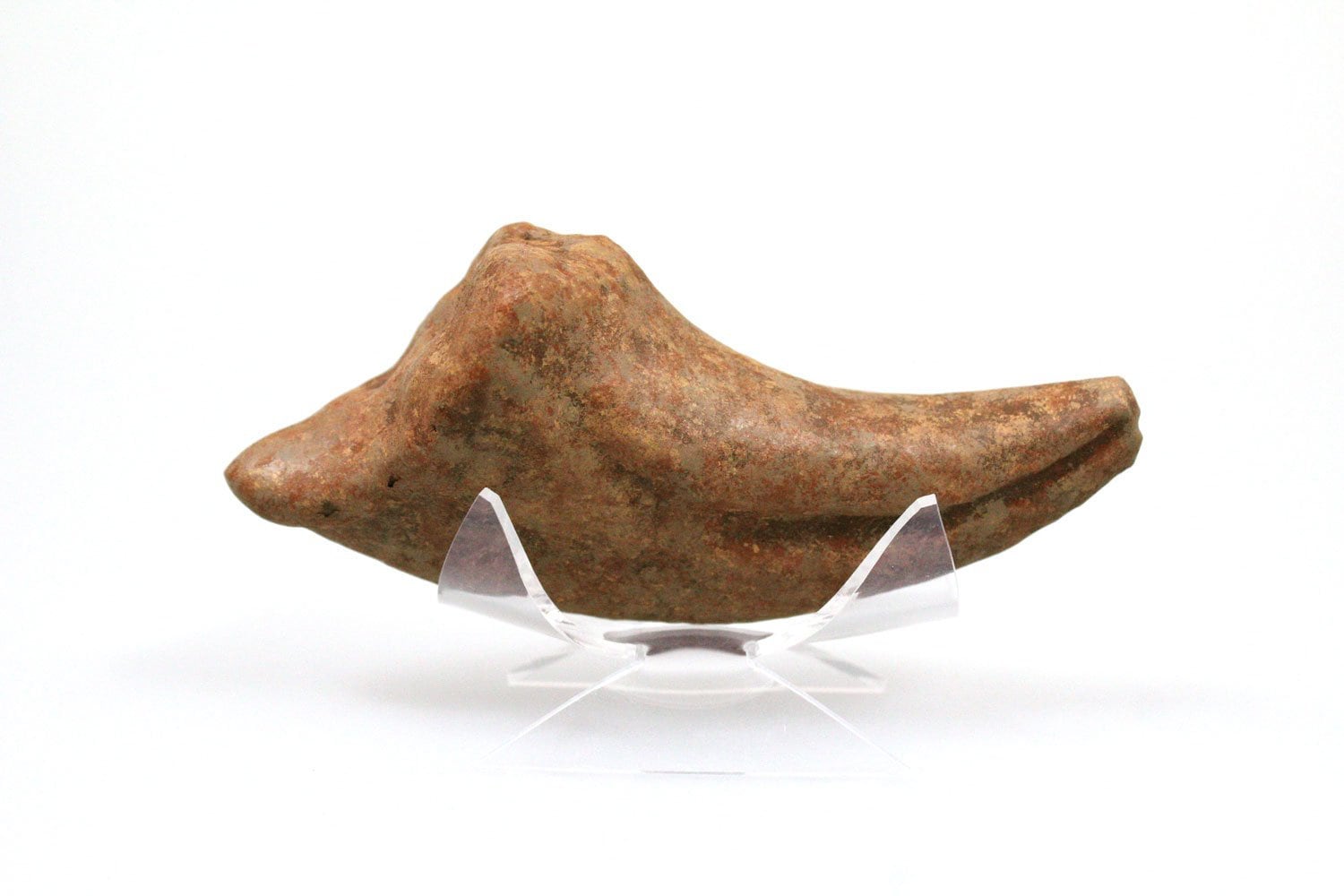 Smithsonian Nation's T.rex Claw Fossil Replica | Etsy