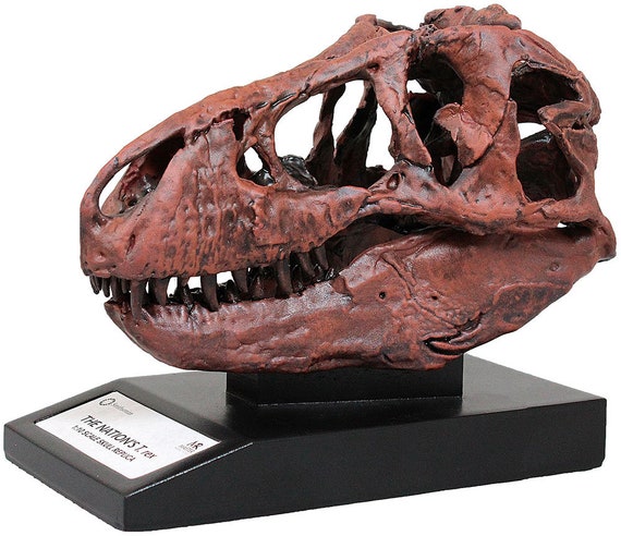 Smithsonian Nation's T.rex Skull Tenth Scale Fossil | Etsy
