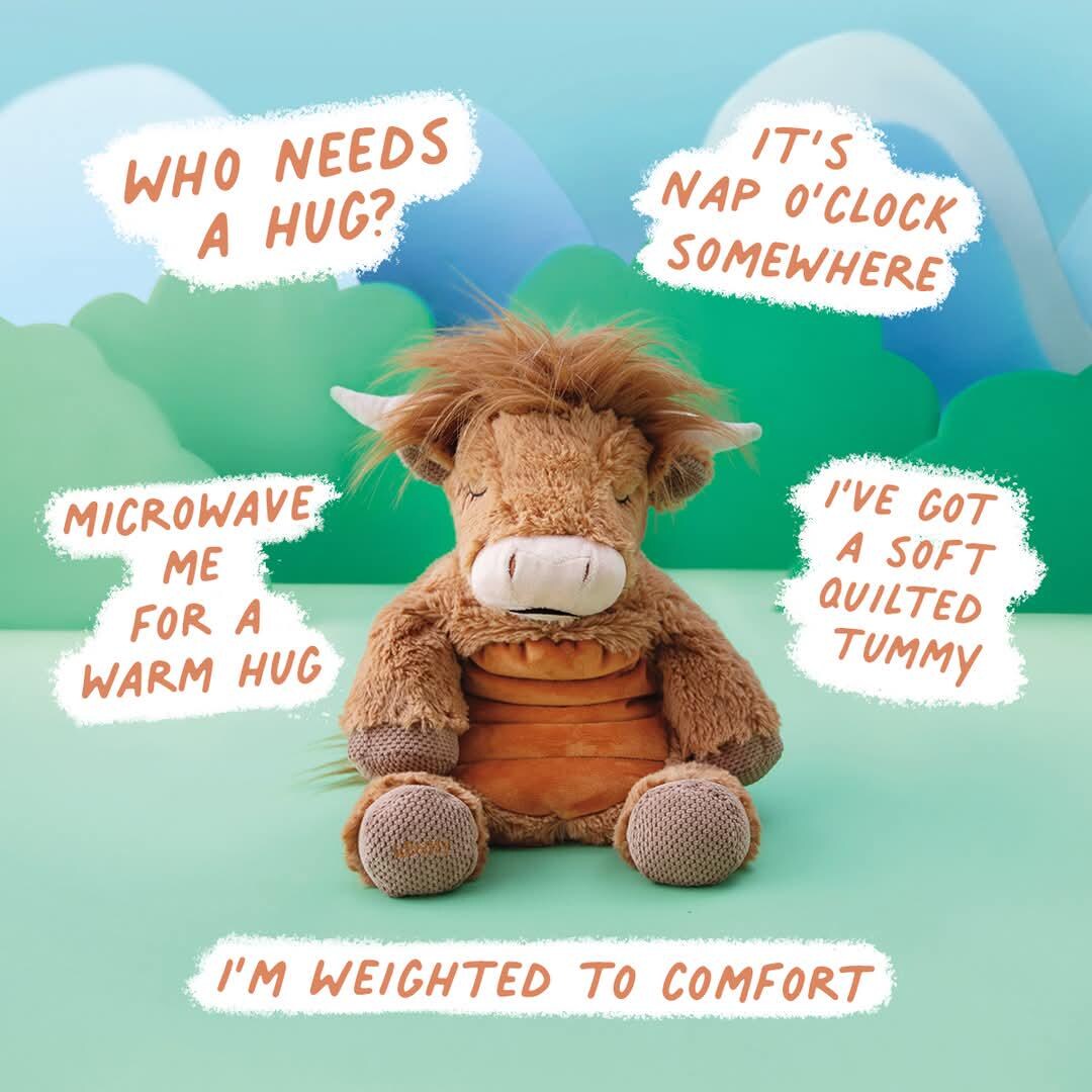 Scentsy Hamish Weighted Cow - Etsy
