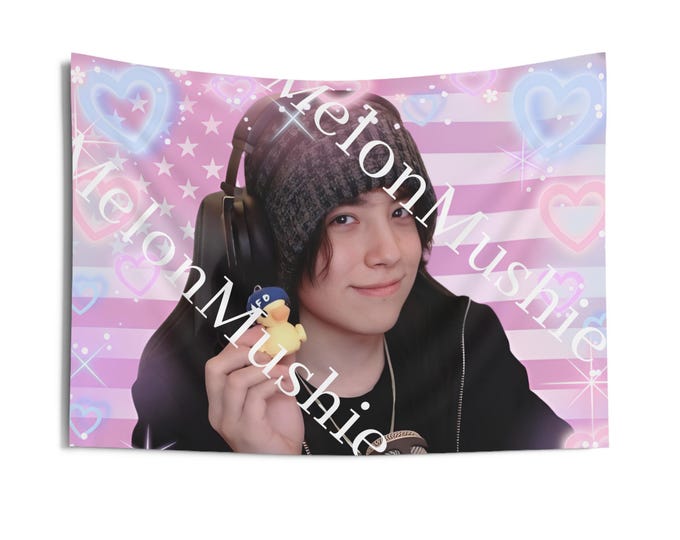 Quackity American Flag Tapestry/mexican Youtuber/twitch Streamer/free ...
