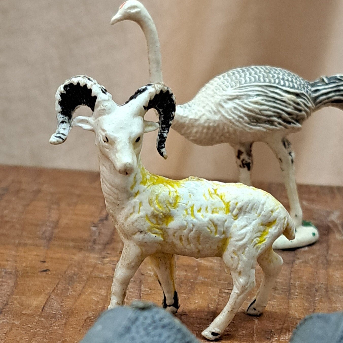 Lions and Tigers and Bears ... and Zebra, Camel, Wolves/dogs, Giraffe ...