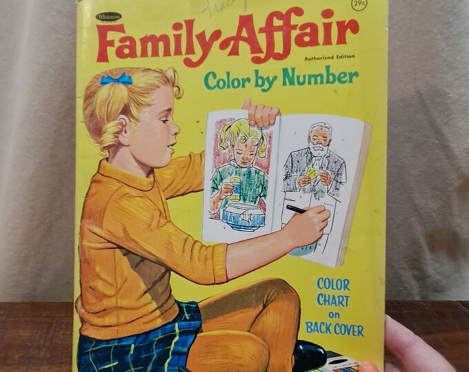 Family Affair (color by Number) Coloring Book by Whitman, 1969 - Etsy