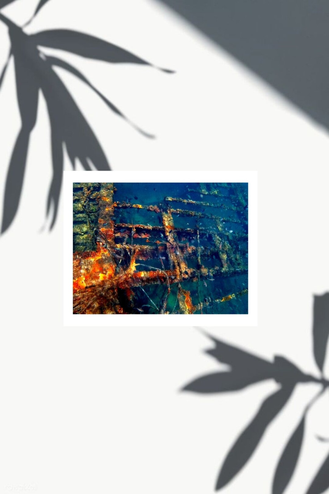 Sunken Ship Photography-digital Download-printable - Etsy