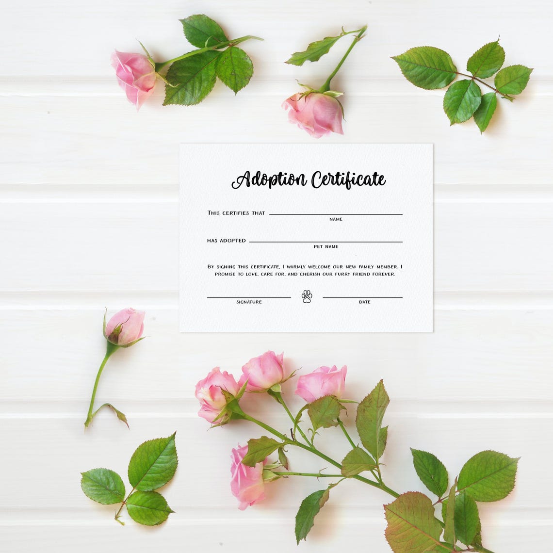 Cursive Pet Adoption Certificate: Dog & Cat Keepsake (digital Download ...