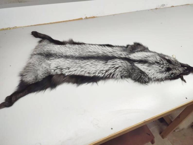 Natural Silver Fox Fur Skin/pelt - Etsy