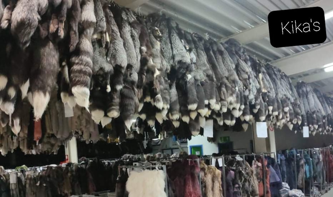 Natural Silver Fox Fur Skin/pelt - Etsy