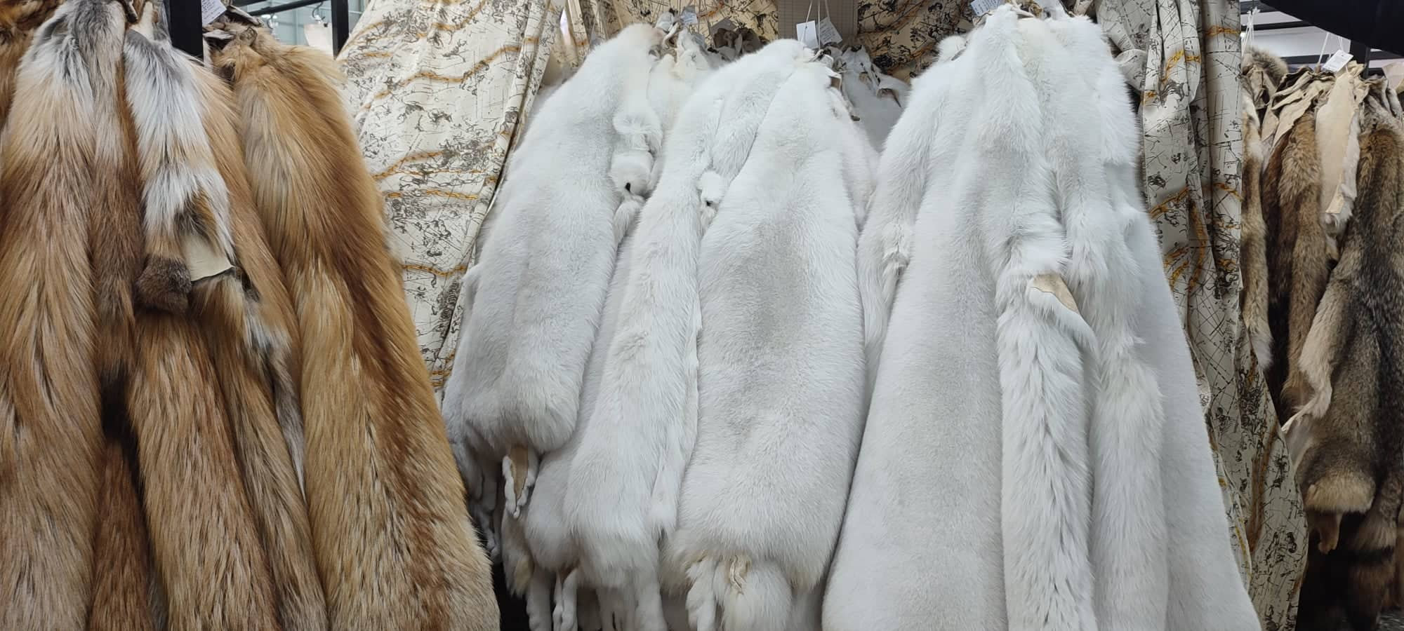 Shadow Fox Fur Skin/pelt - Etsy