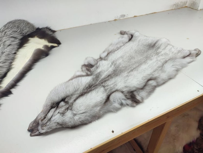 Blue Fox Fur Skin/pelt | Etsy