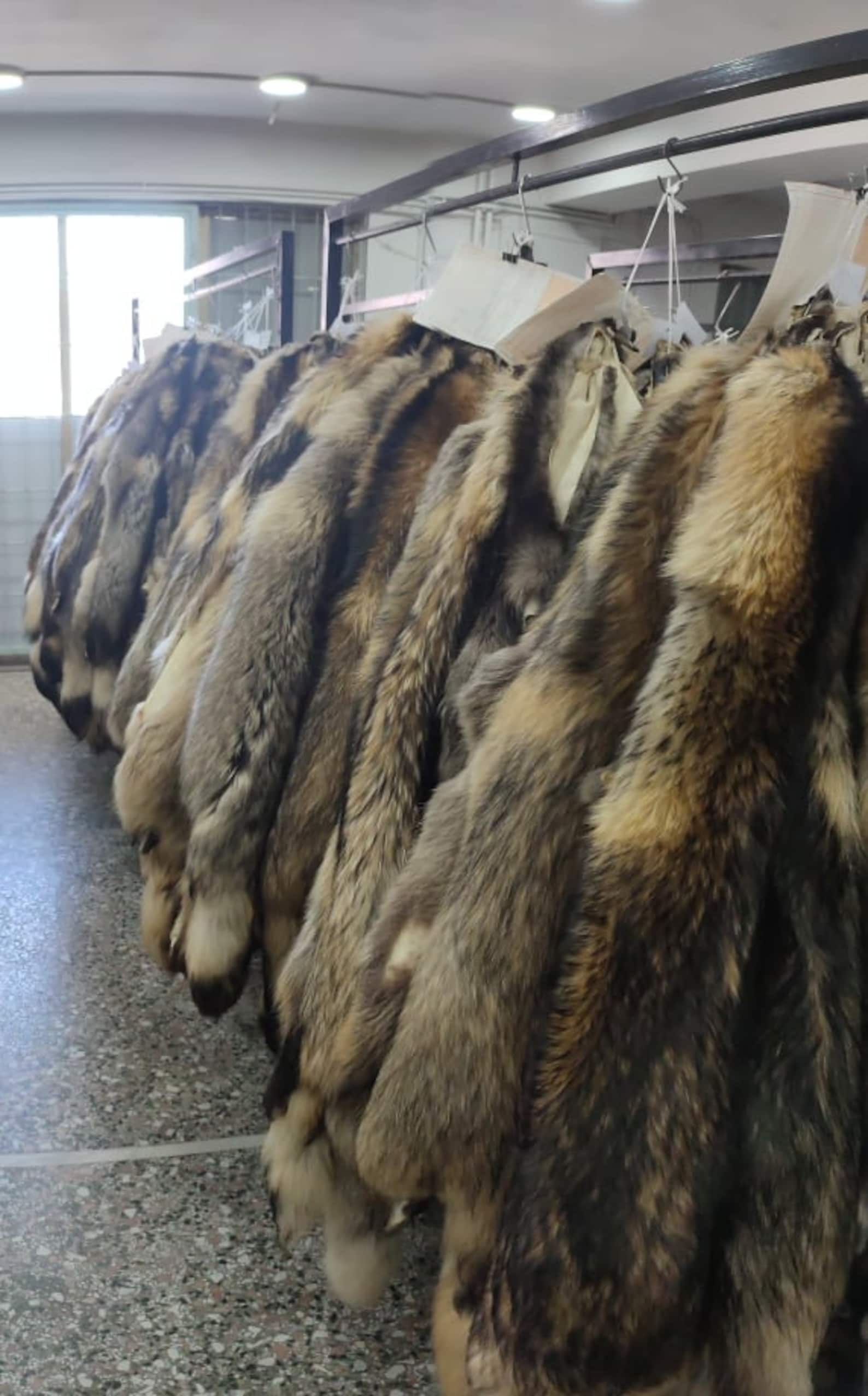 Fin Raccon Fur Skin/pelt - Etsy
