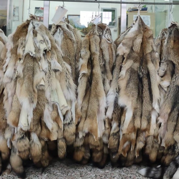 Real Animal Skin - Etsy