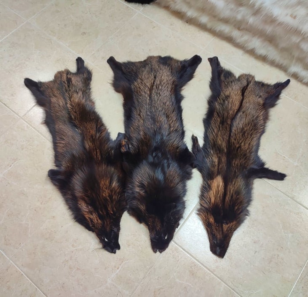 Dyed Brown Silver Fox Fur Skin/pelt - Etsy