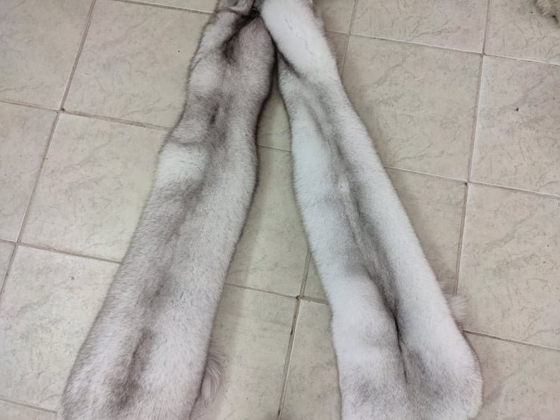 Blue Fox Fur Skin/pelt - Etsy