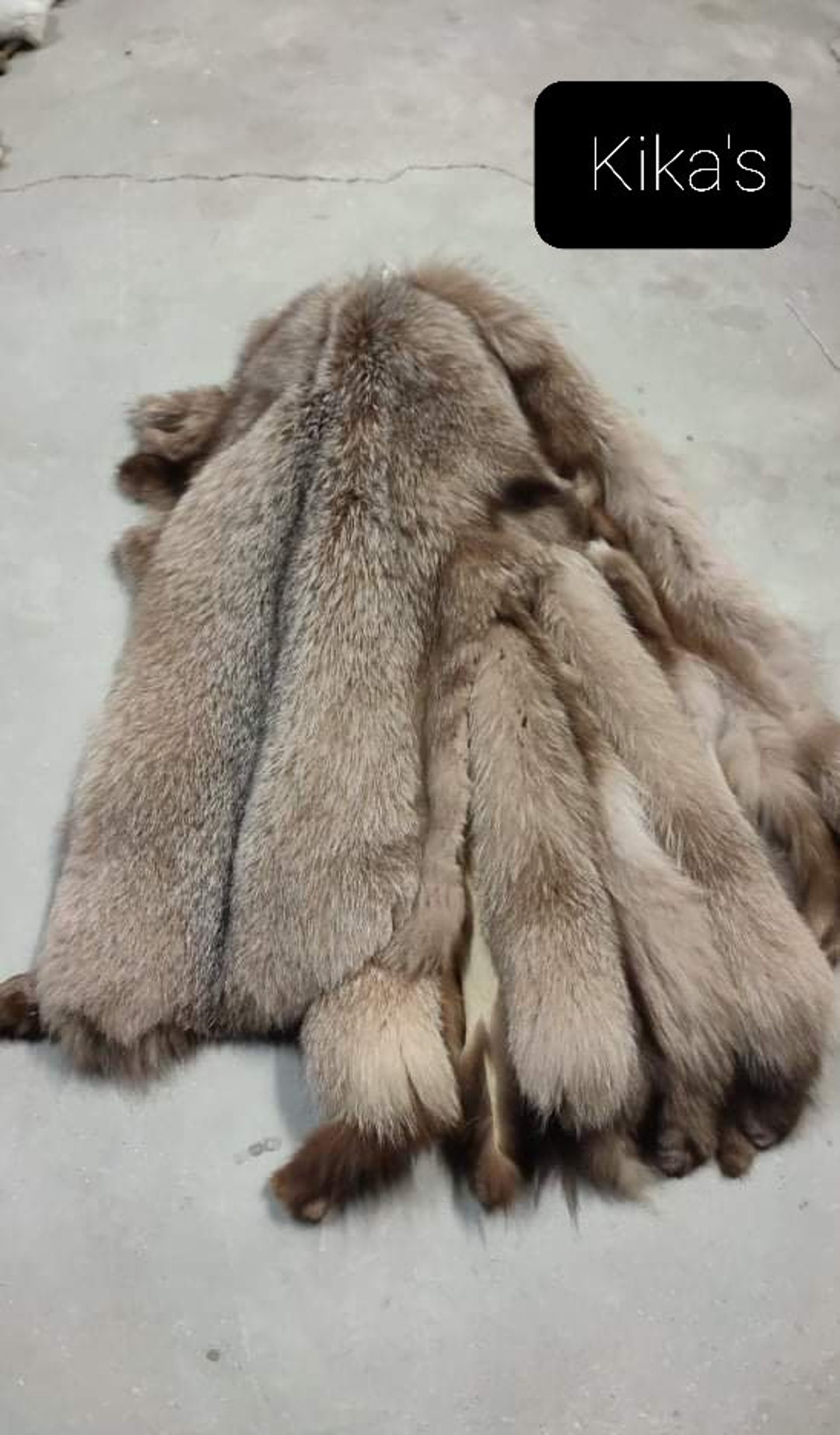 Bleeched Blue Frost Fox Fir Skin/pelt - Etsy