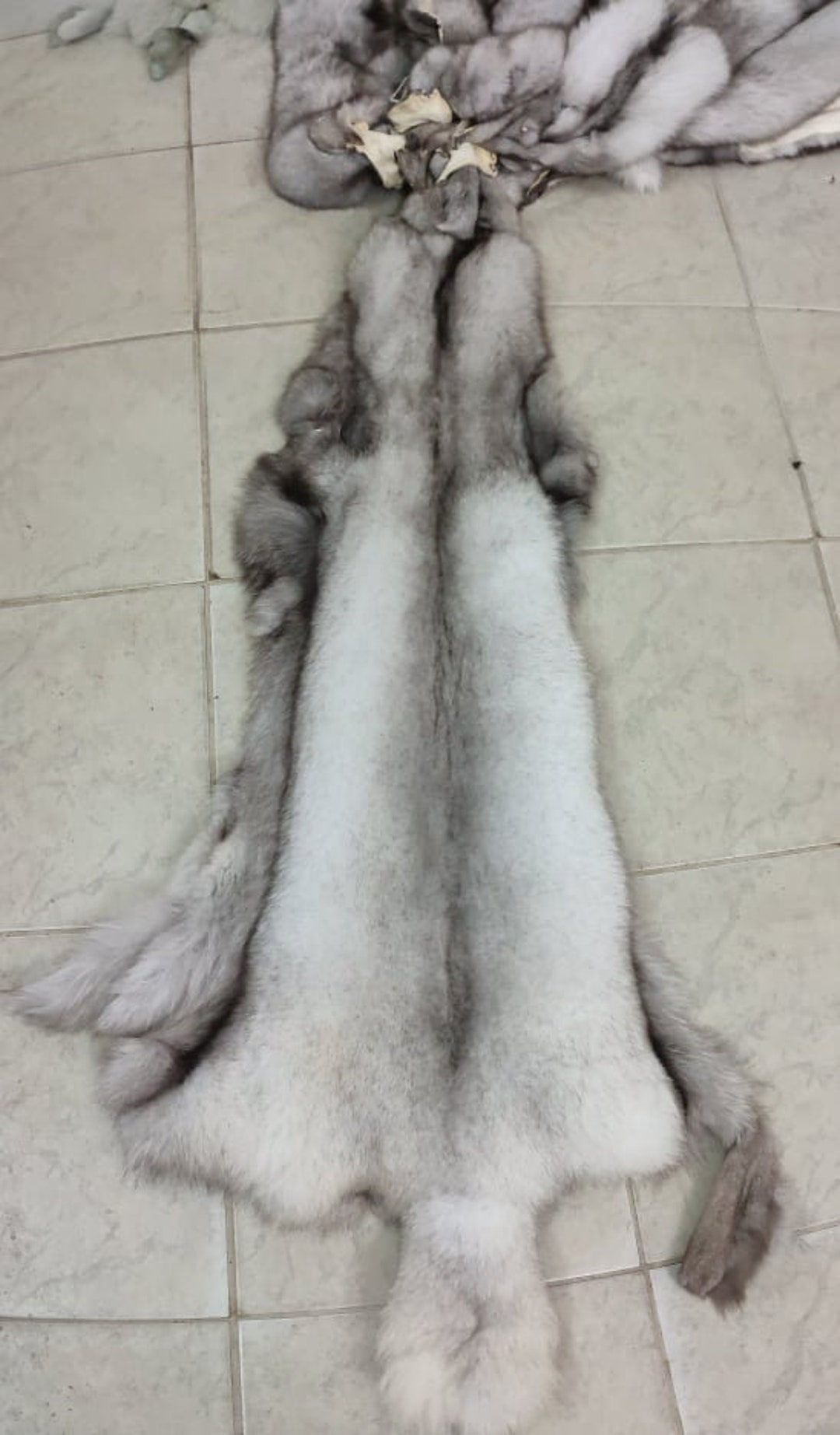 Blue Fox Fur Skin/pelt - Etsy