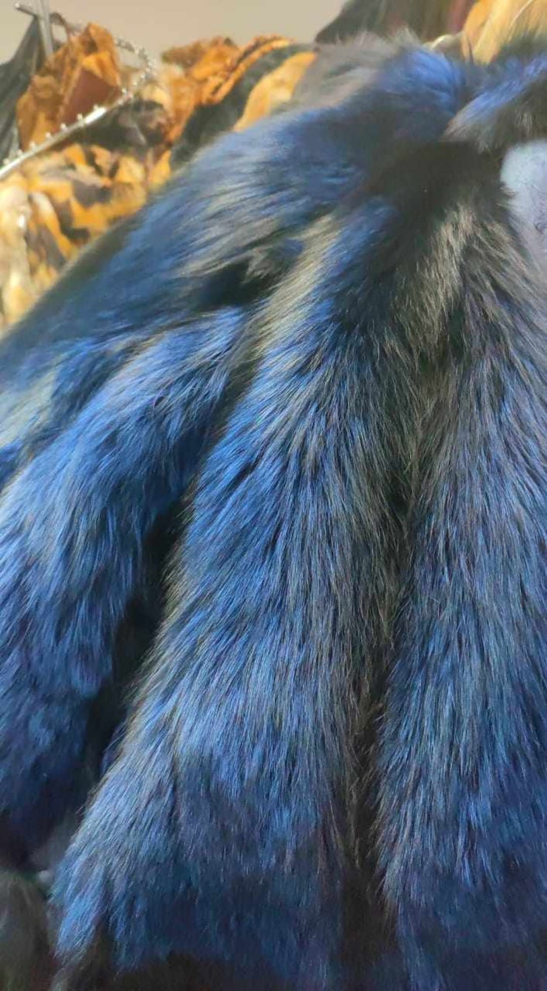 Blue Dyed Silver Fox Fur Skin/pelt - Etsy