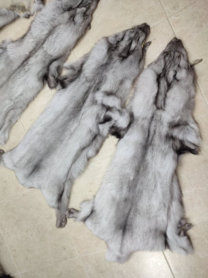 Blue Fox Fur Skin/pelt - Etsy