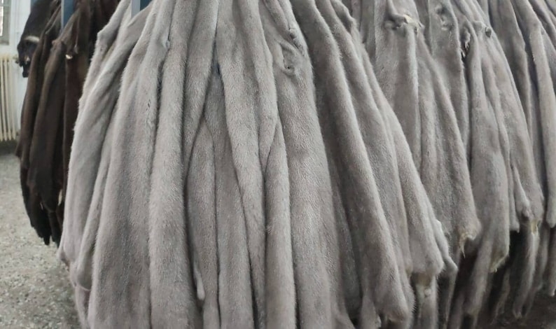 Natural Grey Silver Mink Fur Skin/pelt - Etsy