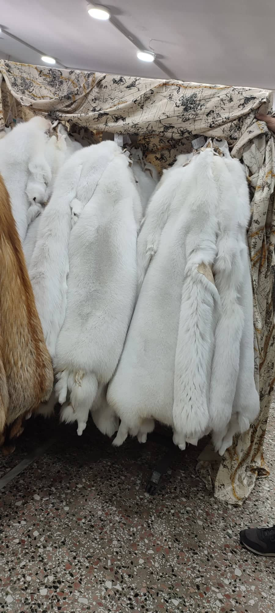 Shadow Fox Fur Skin/pelt - Etsy