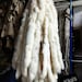Shadow White Real Fox Fur Strips,fur Strips,fox Fur Trims,real Fur ...