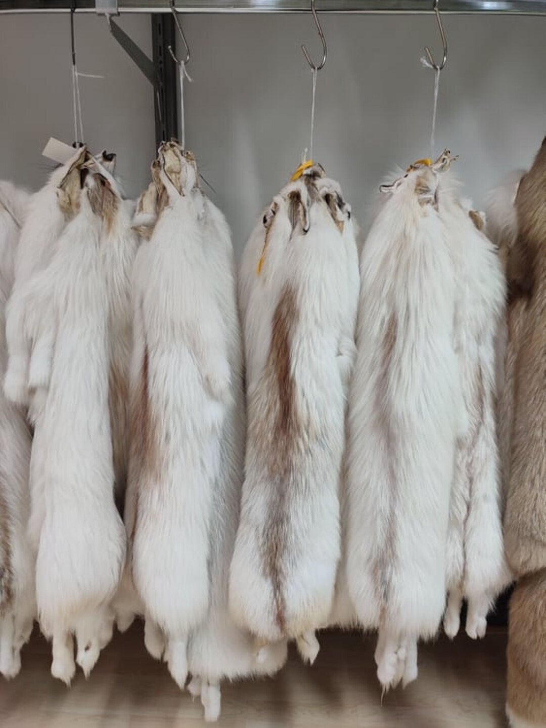 Fau Light Saga Real Fur Skin/pelt - Etsy UK