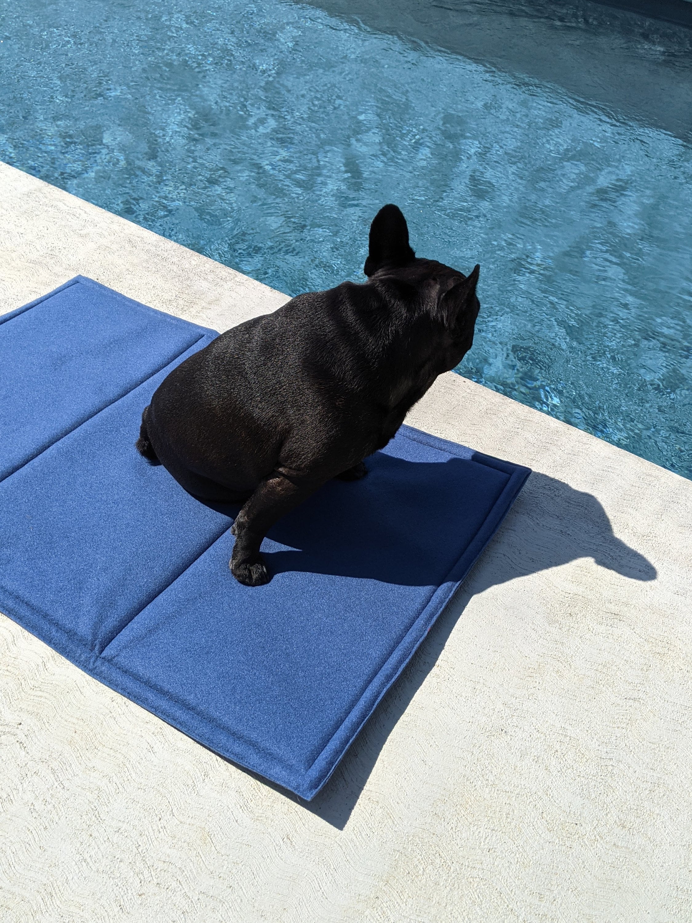 Foldable Travel Mat for Dogs / Washable Dog Day Bed / Warm Crate Cushion / Dog Settle Mat ...