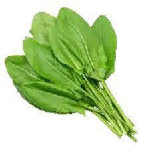 Free Shipping, 50-100 Chukka Kura Khatta Palak Indian Sorrel Seeds ...