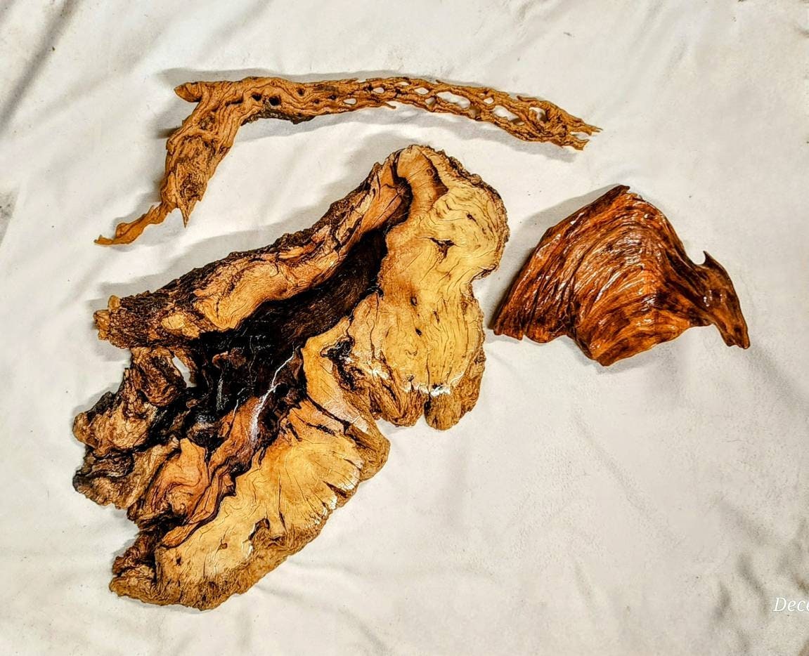 Rustic Wood Decor Desert Ironwood Wood Slab Mesquite Wood - Etsy