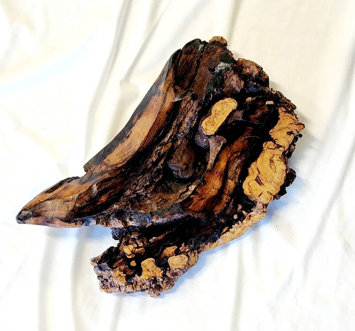 Rustic Wood Slab Desert Ironwood Table Piece Wood Art - Etsy