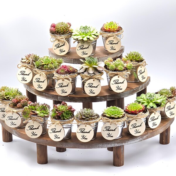 Succulent Birthday Party - Etsy