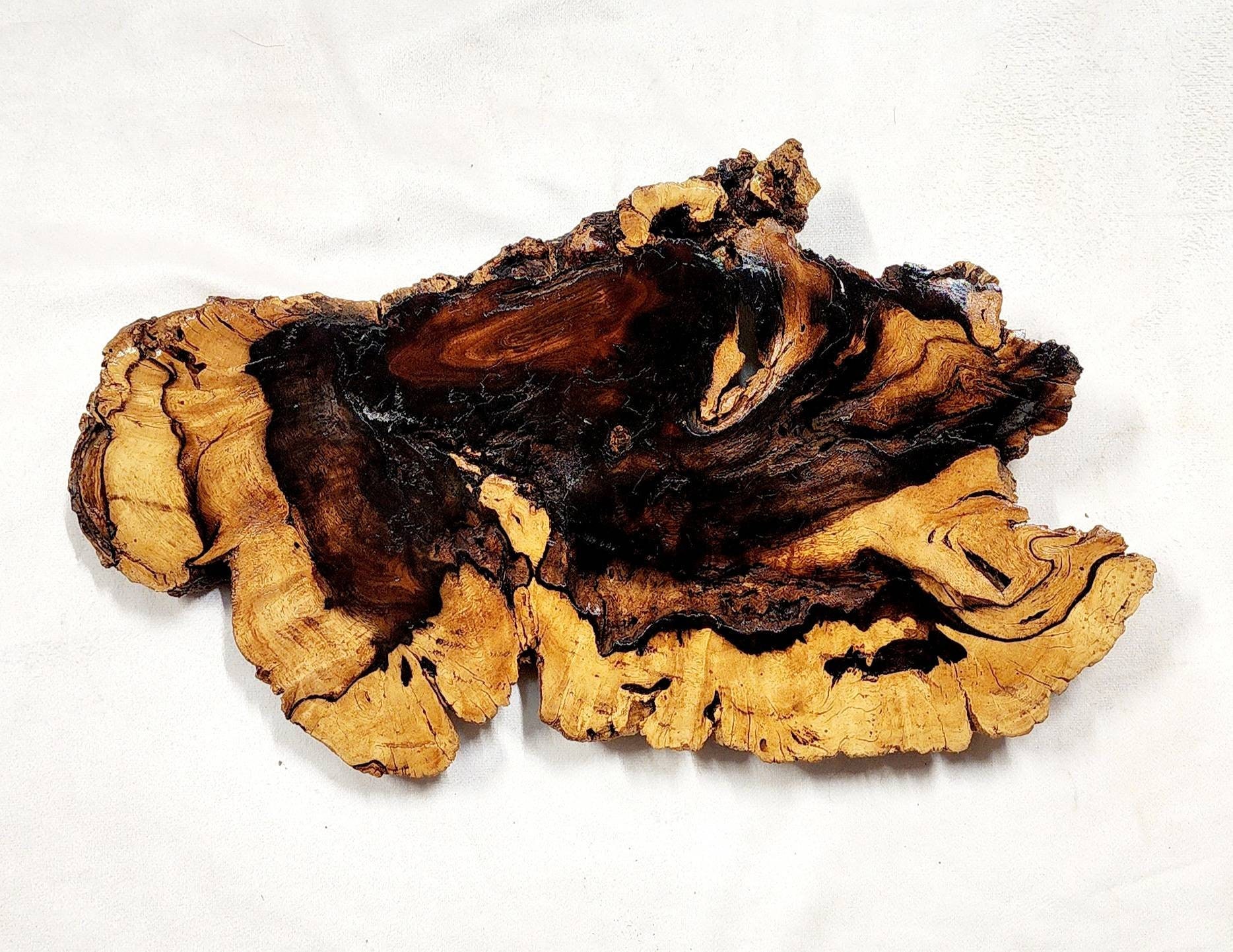 Rustic Wood Decor Desert Ironwood Wood Slab Mesquite Wood - Etsy