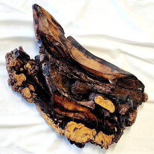 Rustic Wood Slab, Desert Ironwood, Table Piece, Wood Art, Southwest ...