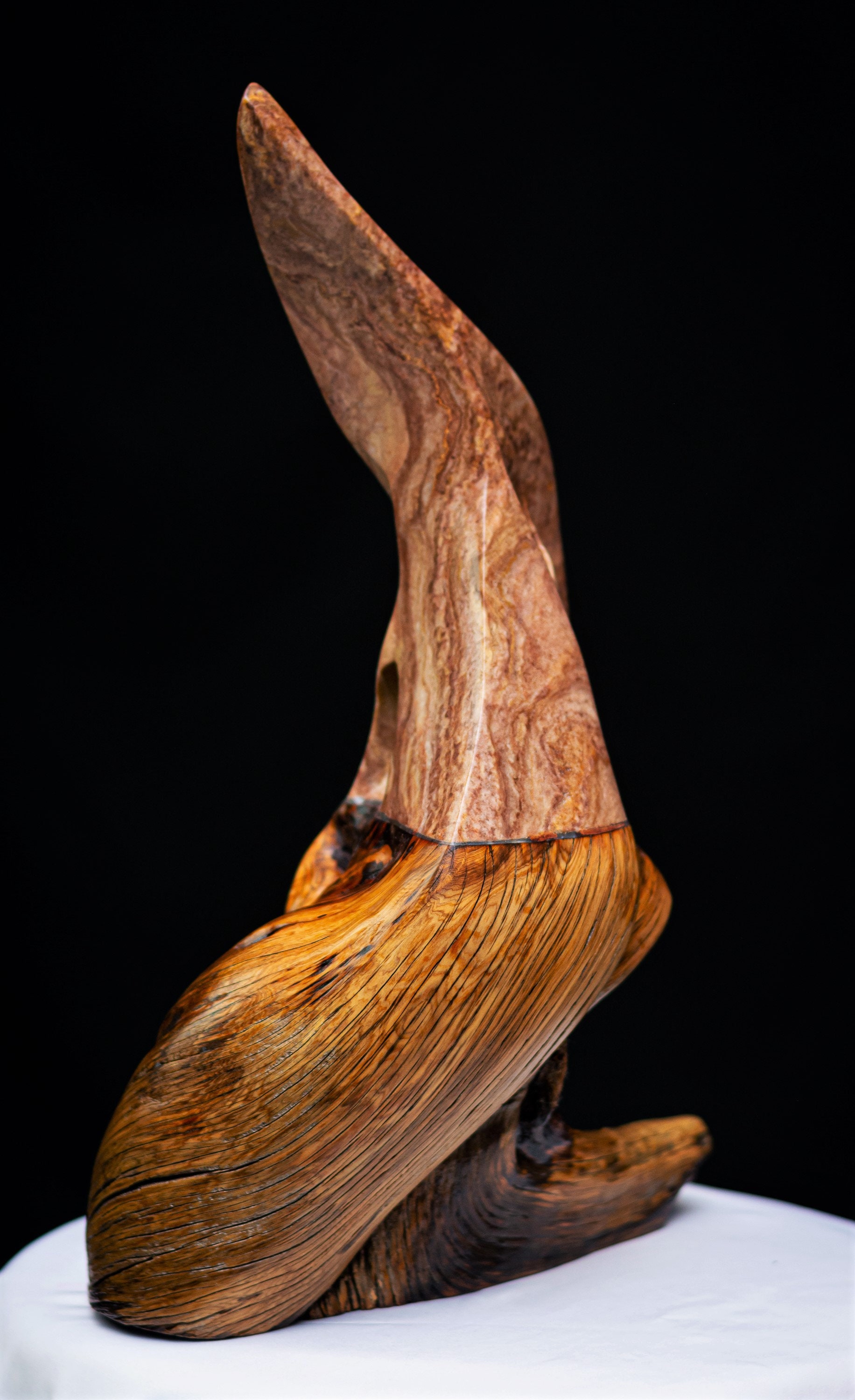 The Phallus of Forest and Stone-modern Abstract Stone Sculpture-juniper ...