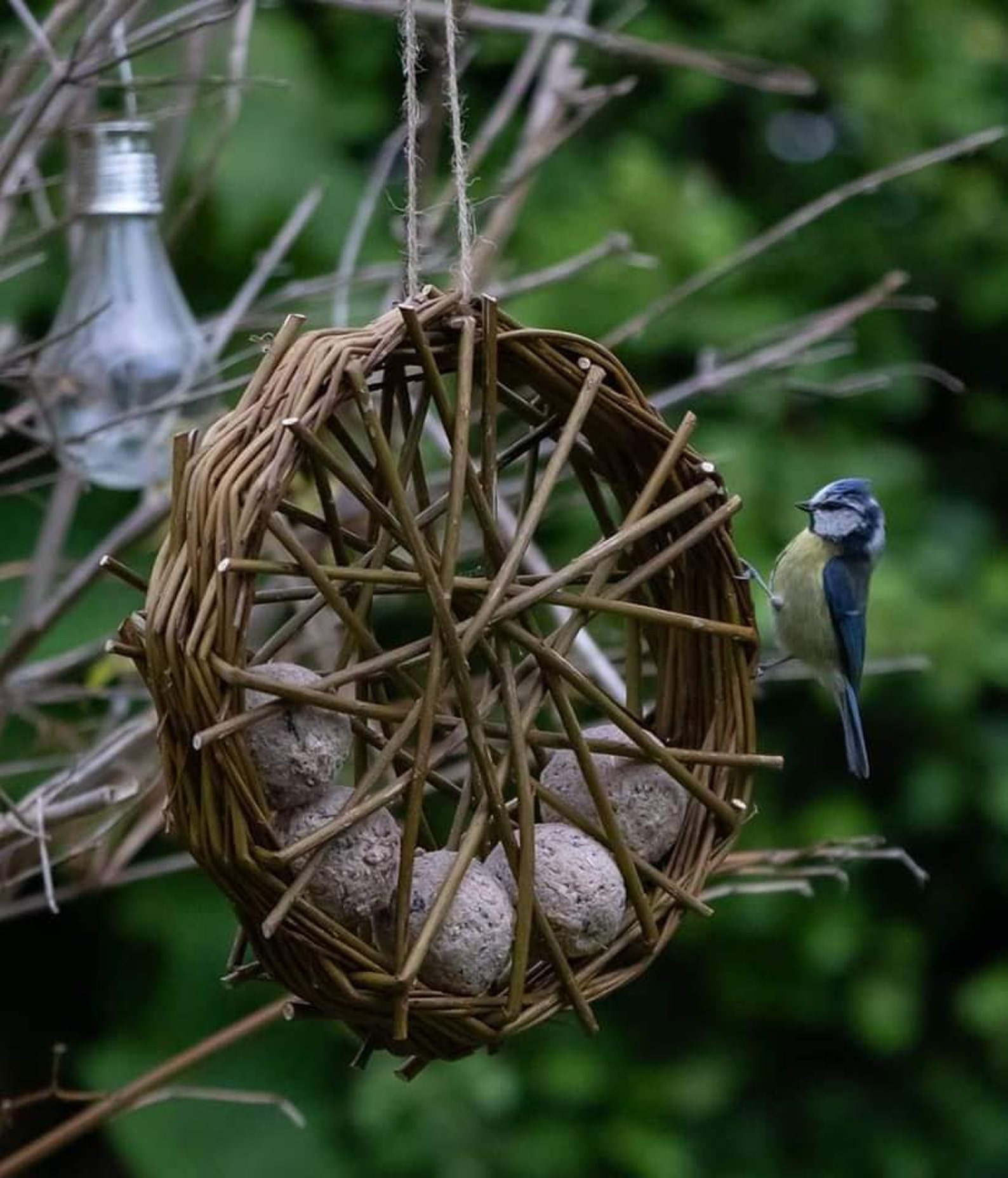 Hanging Willow Bird Feeder - Etsy