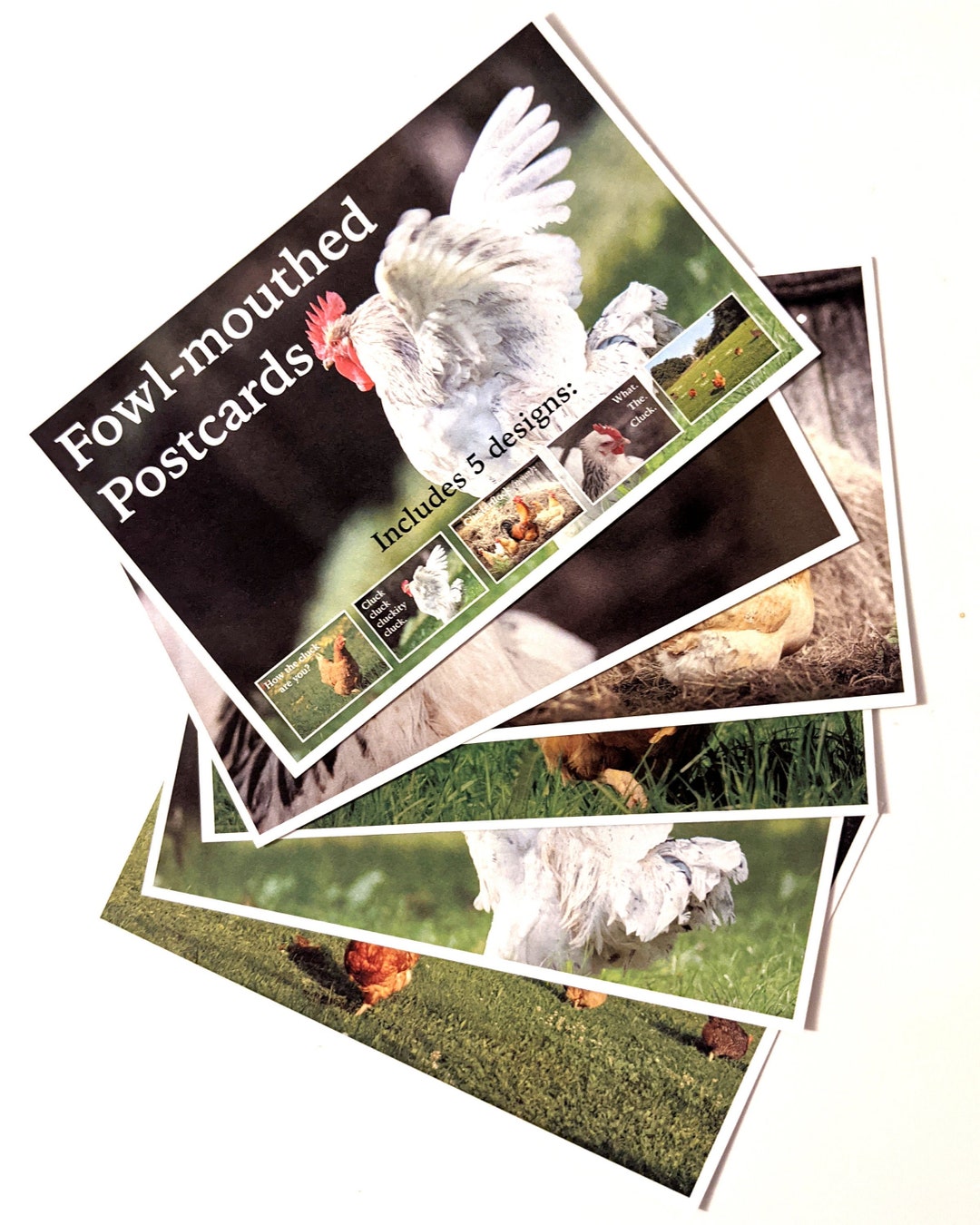 Funny Chicken Postcard Set : Fowl-mouthed Birds - What the Cluck ...