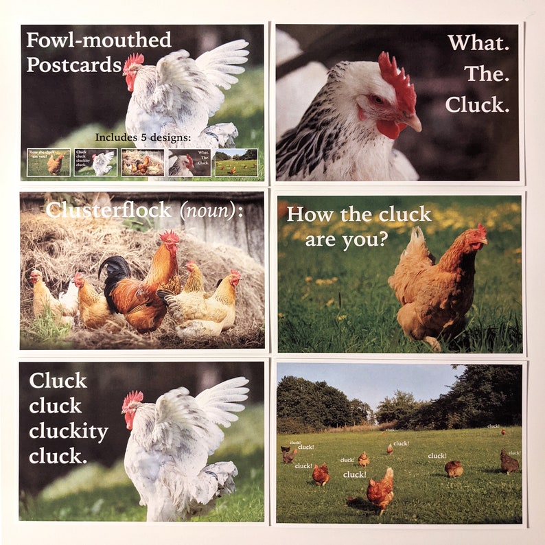 Funny Chicken Postcard Set : Fowl-mouthed Birds - What the Cluck ...
